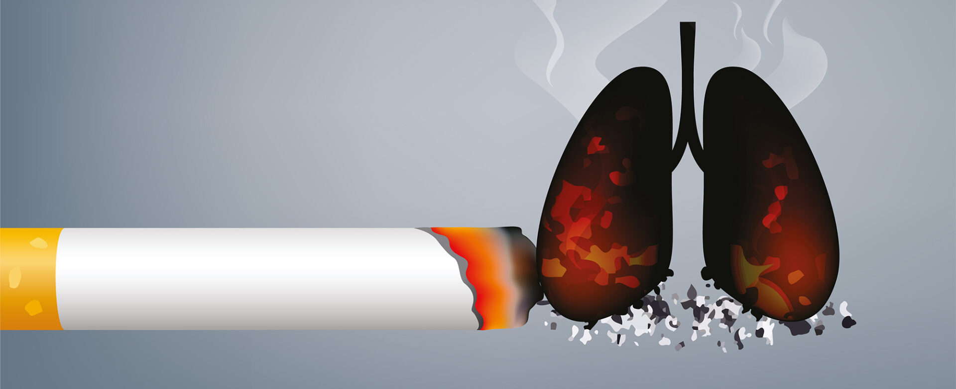 World Tuberculosis Day: why fighting smoking is key to eradicating the ...